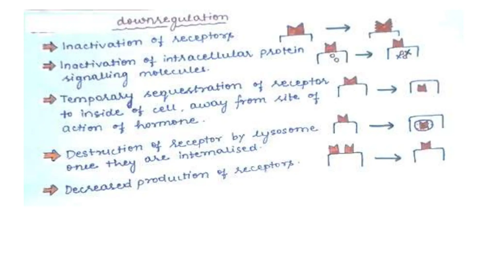 Receptor regulation in pharmacology.pptx