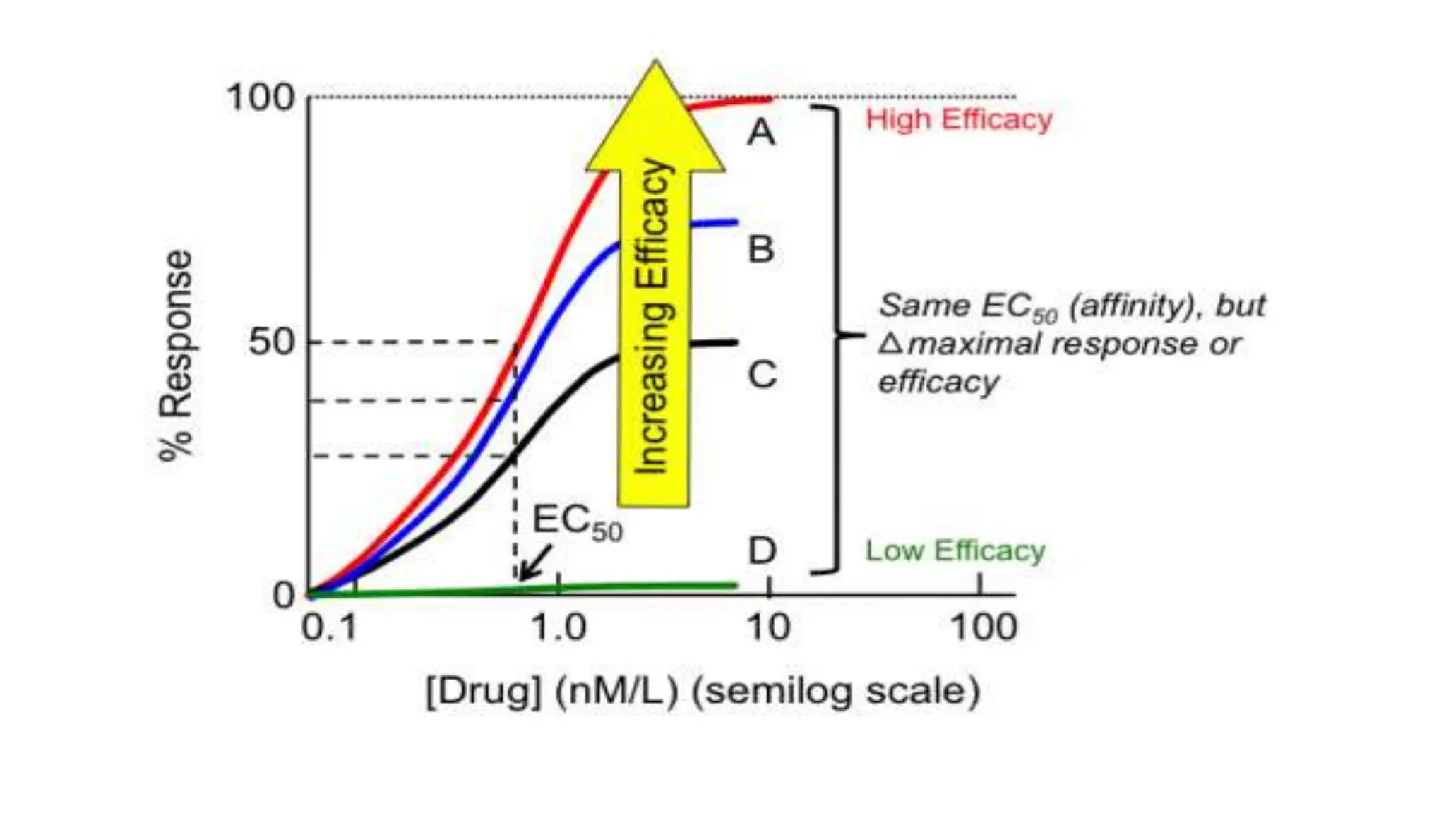 Receptor regulation in pharmacology.pptx