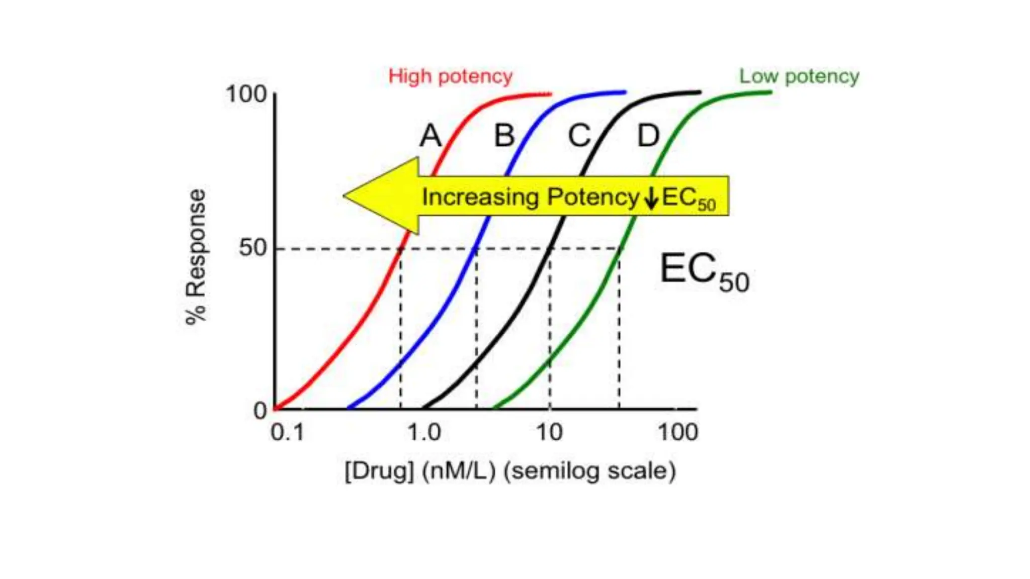 Receptor regulation in pharmacology.pptx