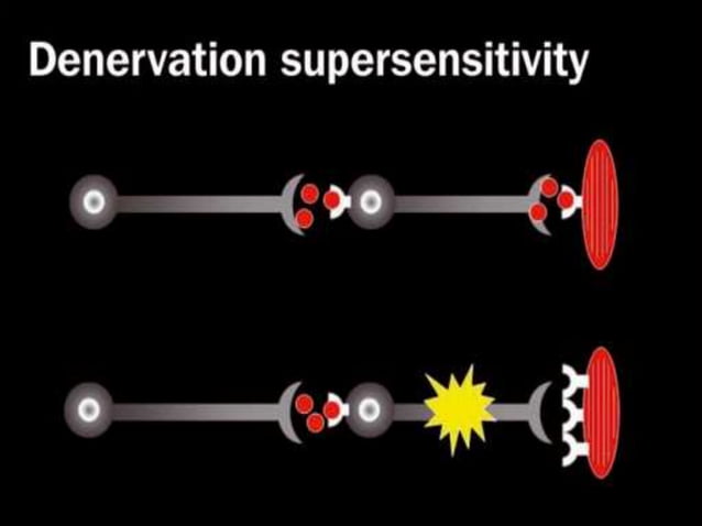Receptor regulation and diseases | PPTX