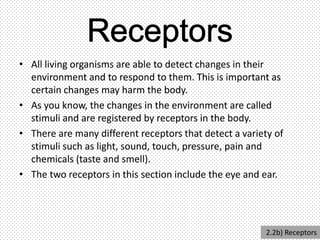 Receptors | PPT