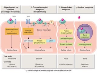 Receptors | PPT