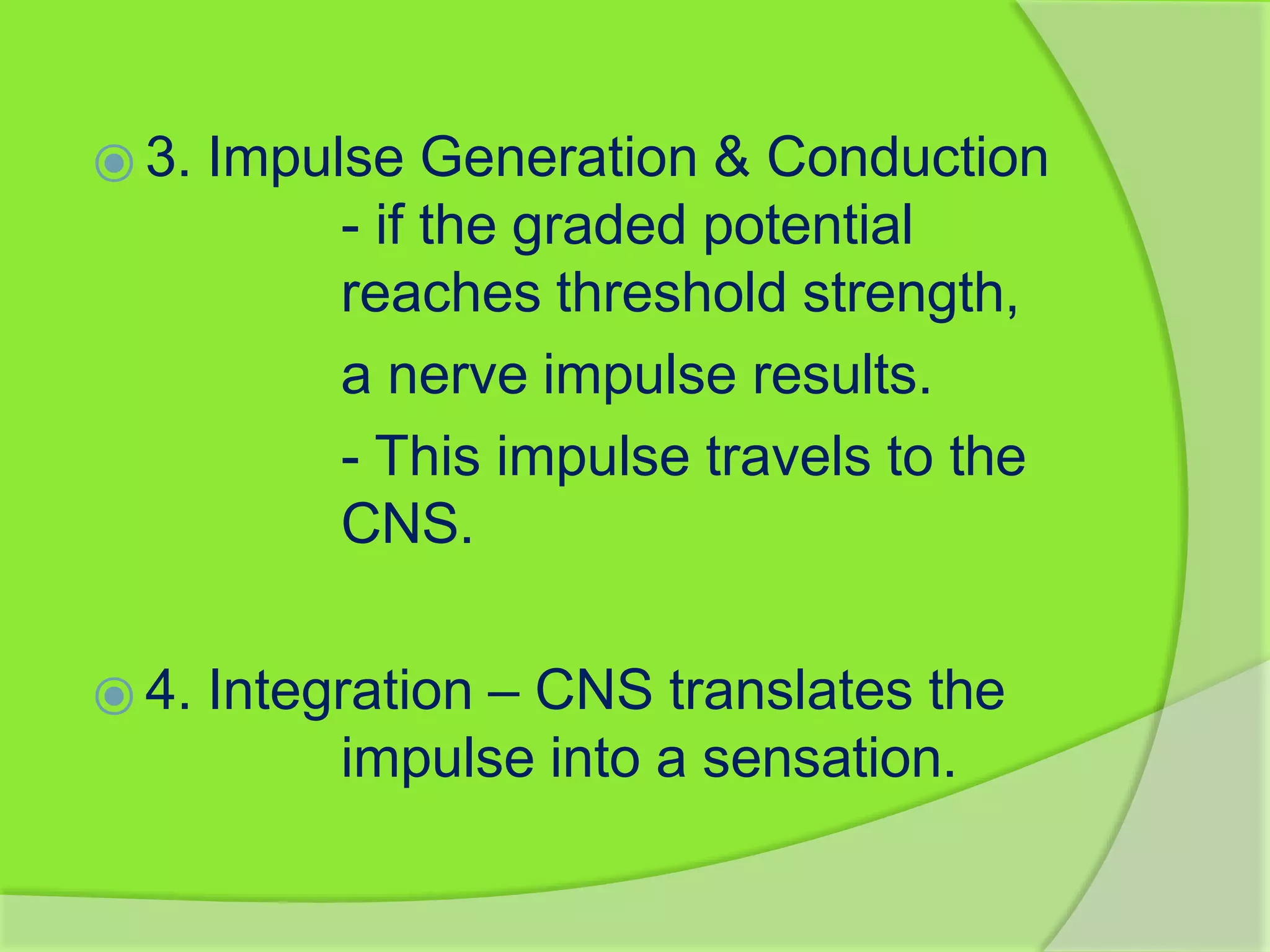 receptors-160421030829.pptx