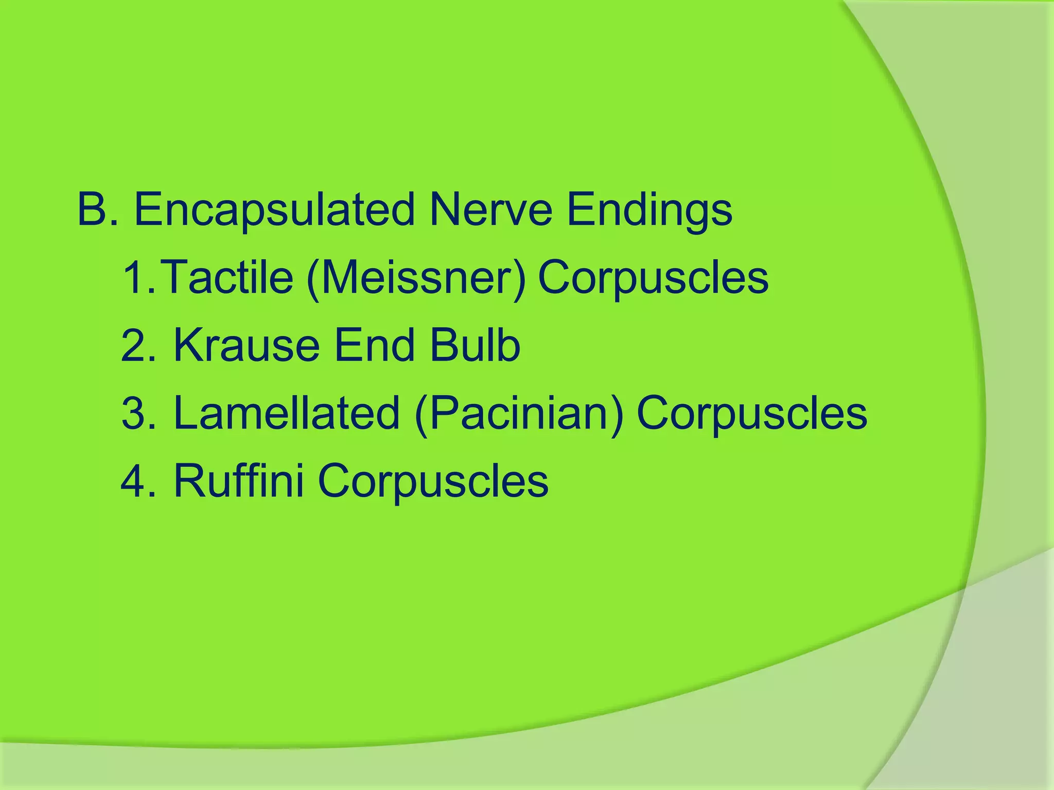 receptors-160421030829.pptx