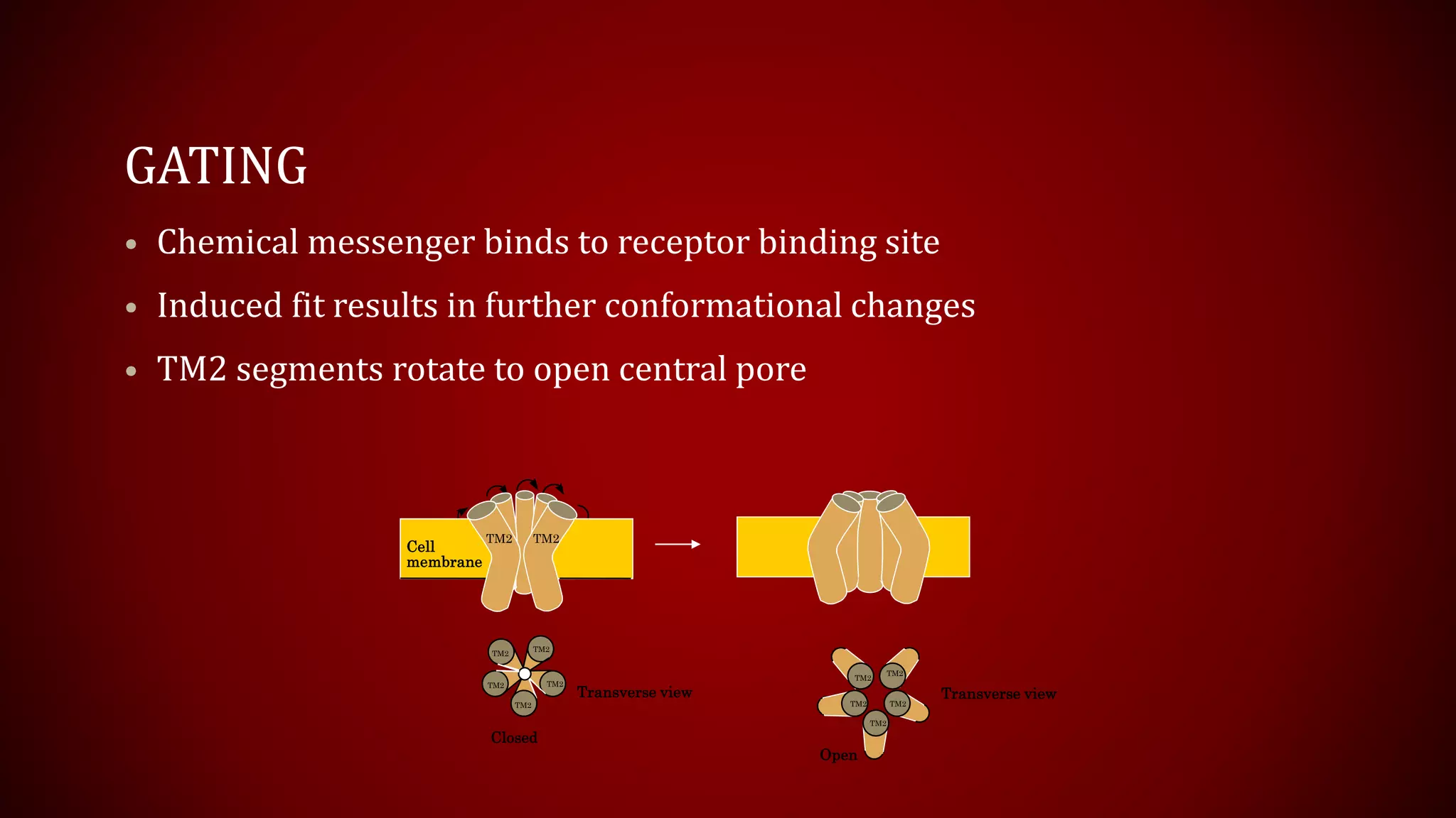 Cellular Receptors | PPTX