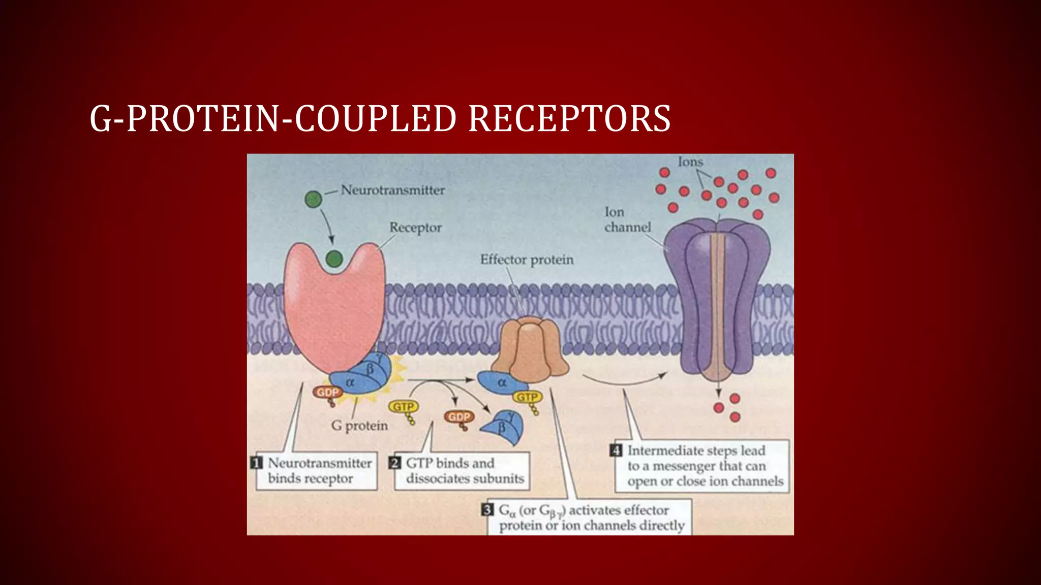 Cellular Receptors | PPTX