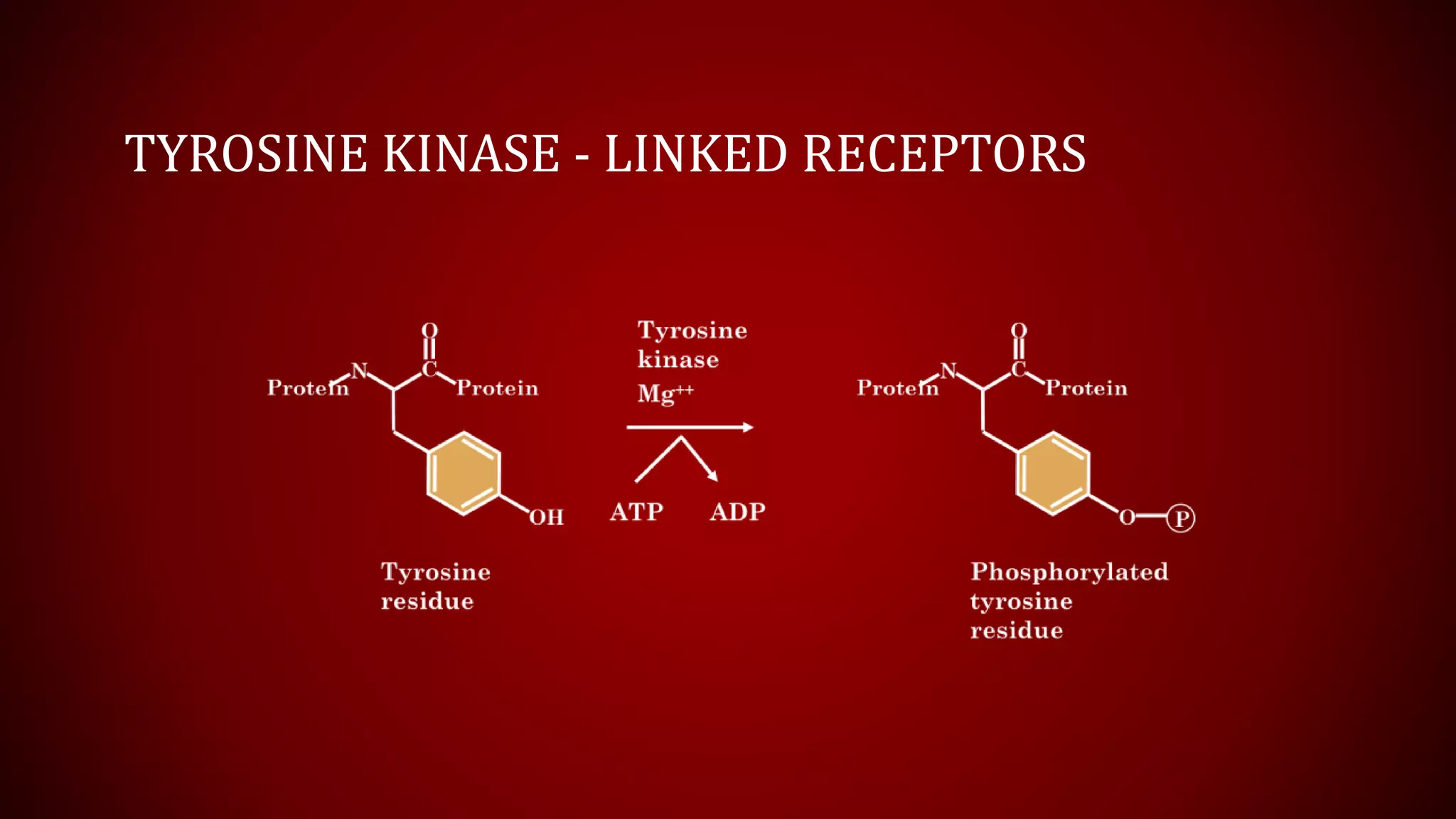 Cellular Receptors | PPTX
