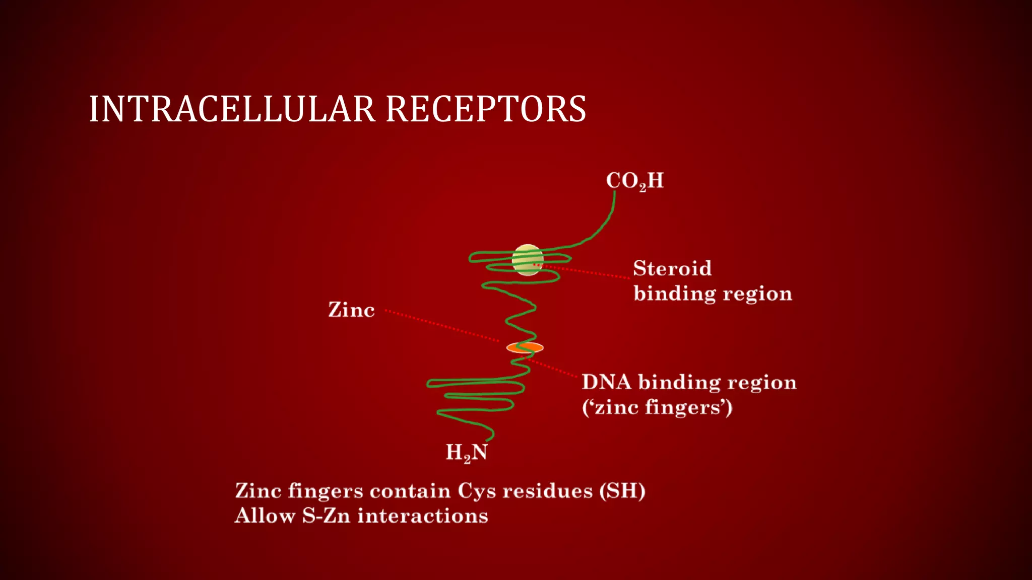 Cellular Receptors | PPTX