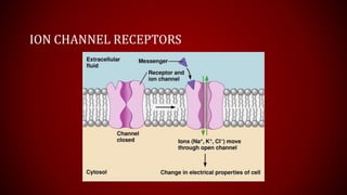 Cellular Receptors | PPTX