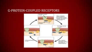 Cellular Receptors | PPTX