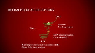 Cellular Receptors | PPTX