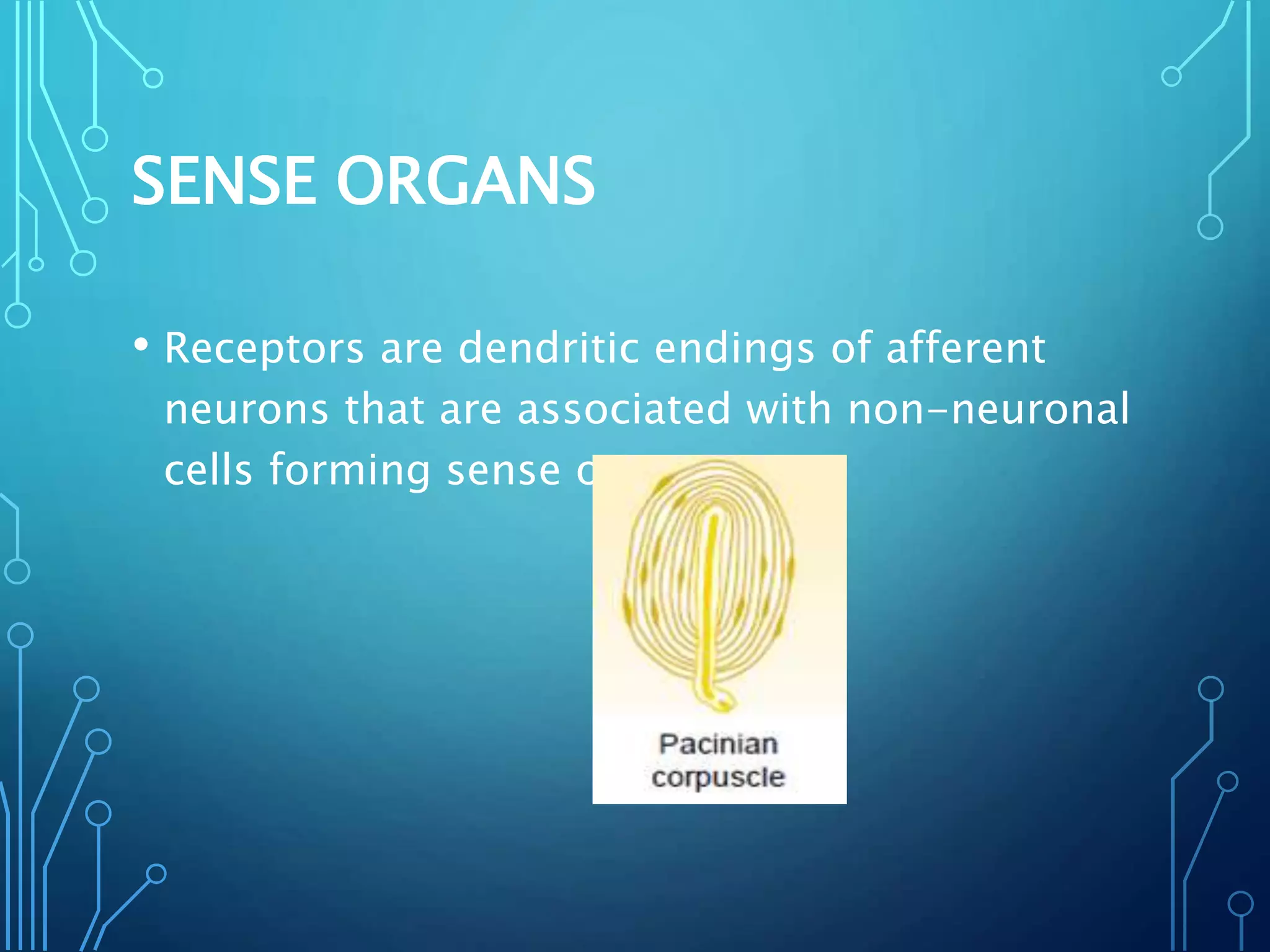 Receptors | PPTX
