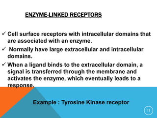 Receptors | PPTX
