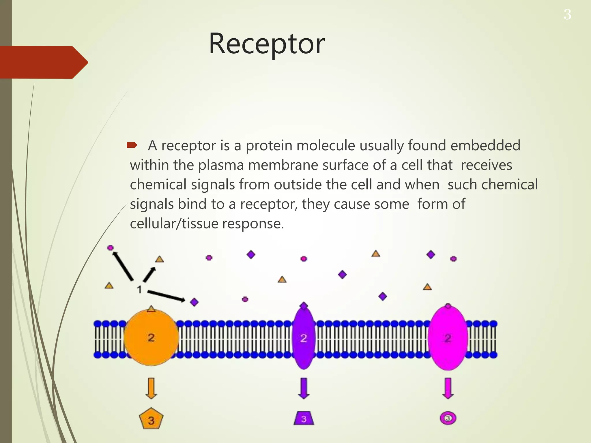 Receptors and receptors classification | PPTX