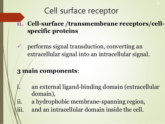 Receptors and receptors classification