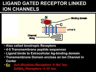 Drug Receptor Interactions | PPTX