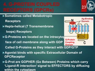 Drug Receptor Interactions | PPTX