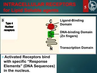 Drug Receptor Interactions | PPTX