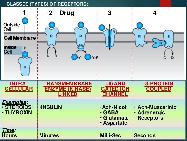 Drug Receptor Interactions