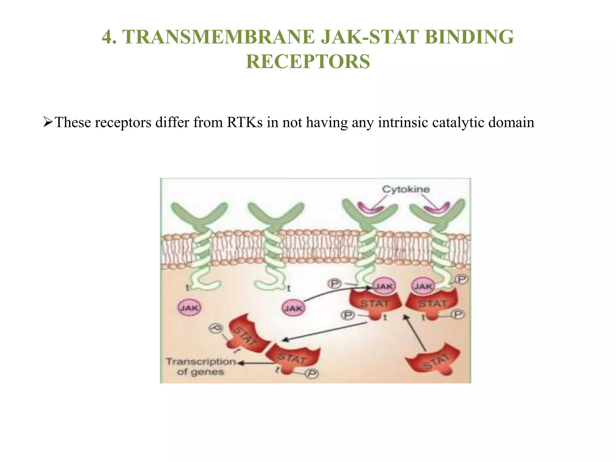 Receptors | PPT
