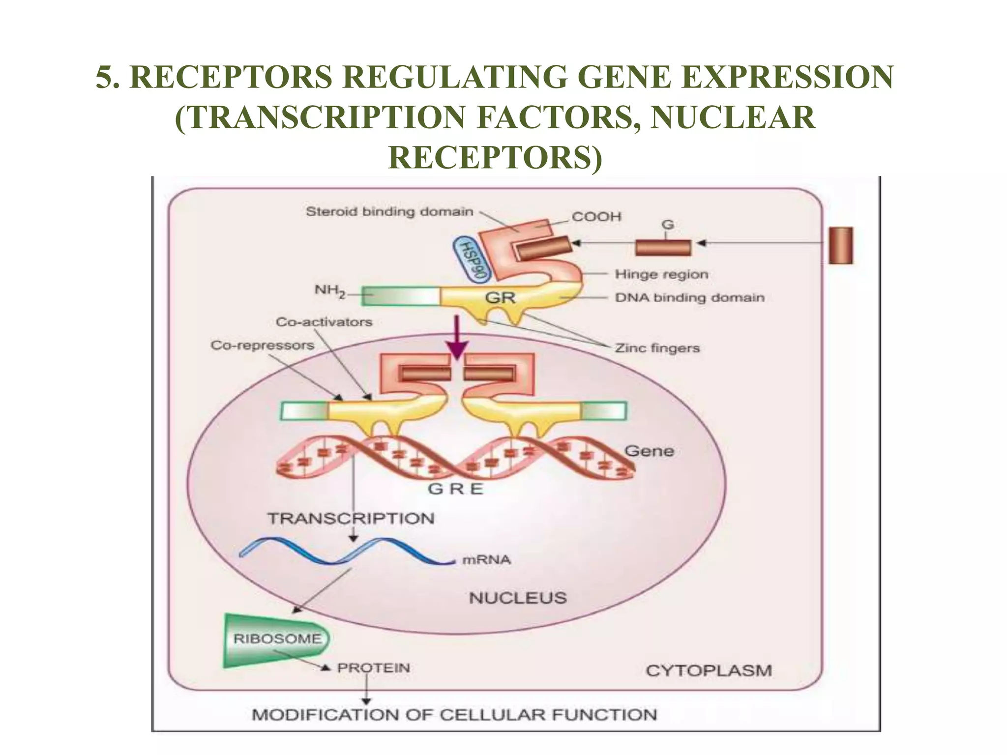 Receptors | PPT