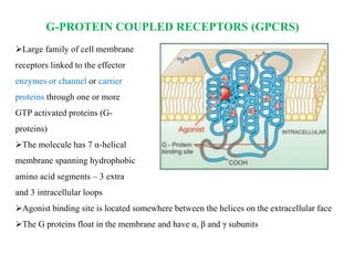 Receptors | PPT