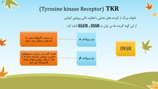 Receptors | PDF