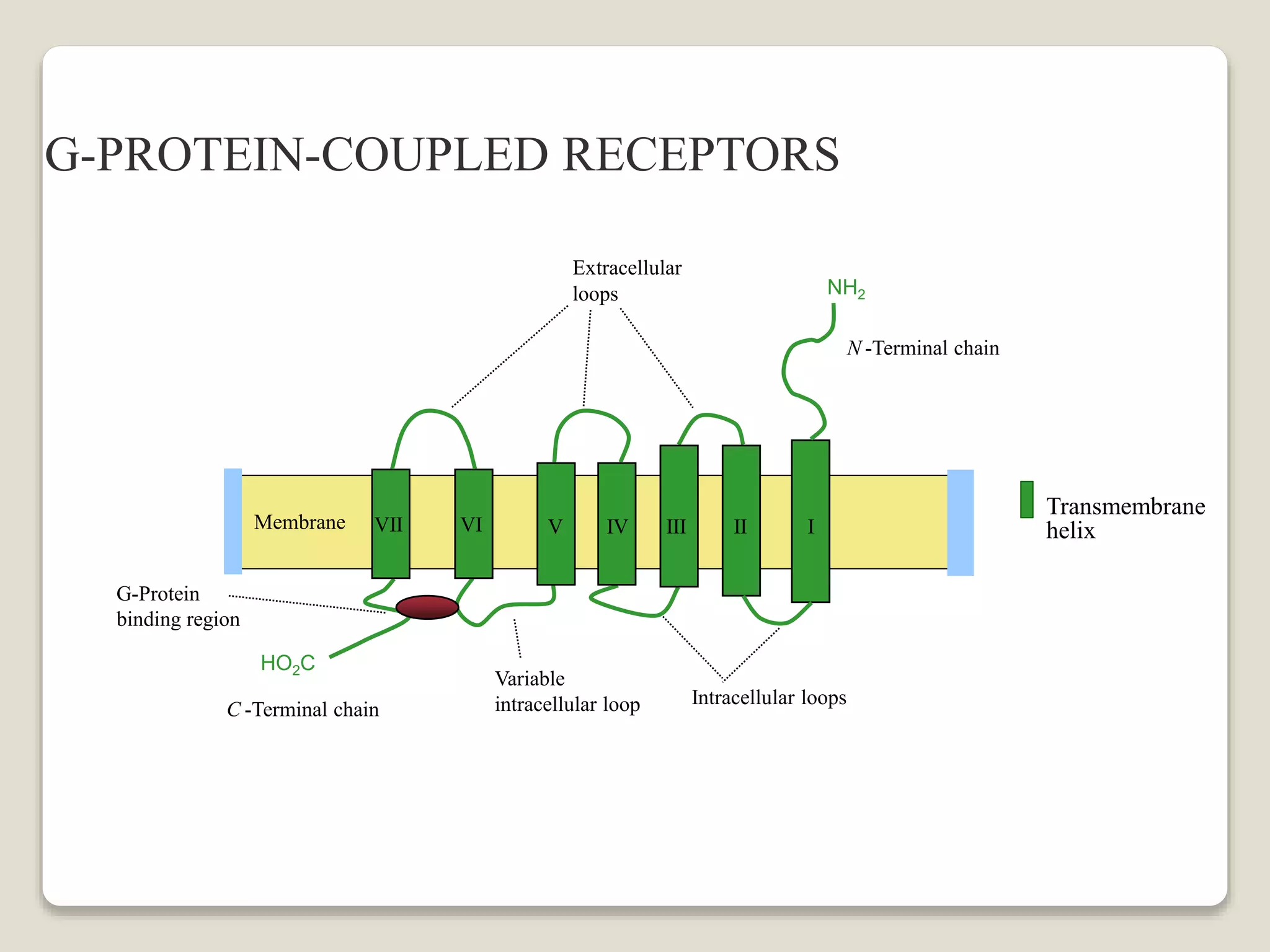 Receptors Types and details | PPT