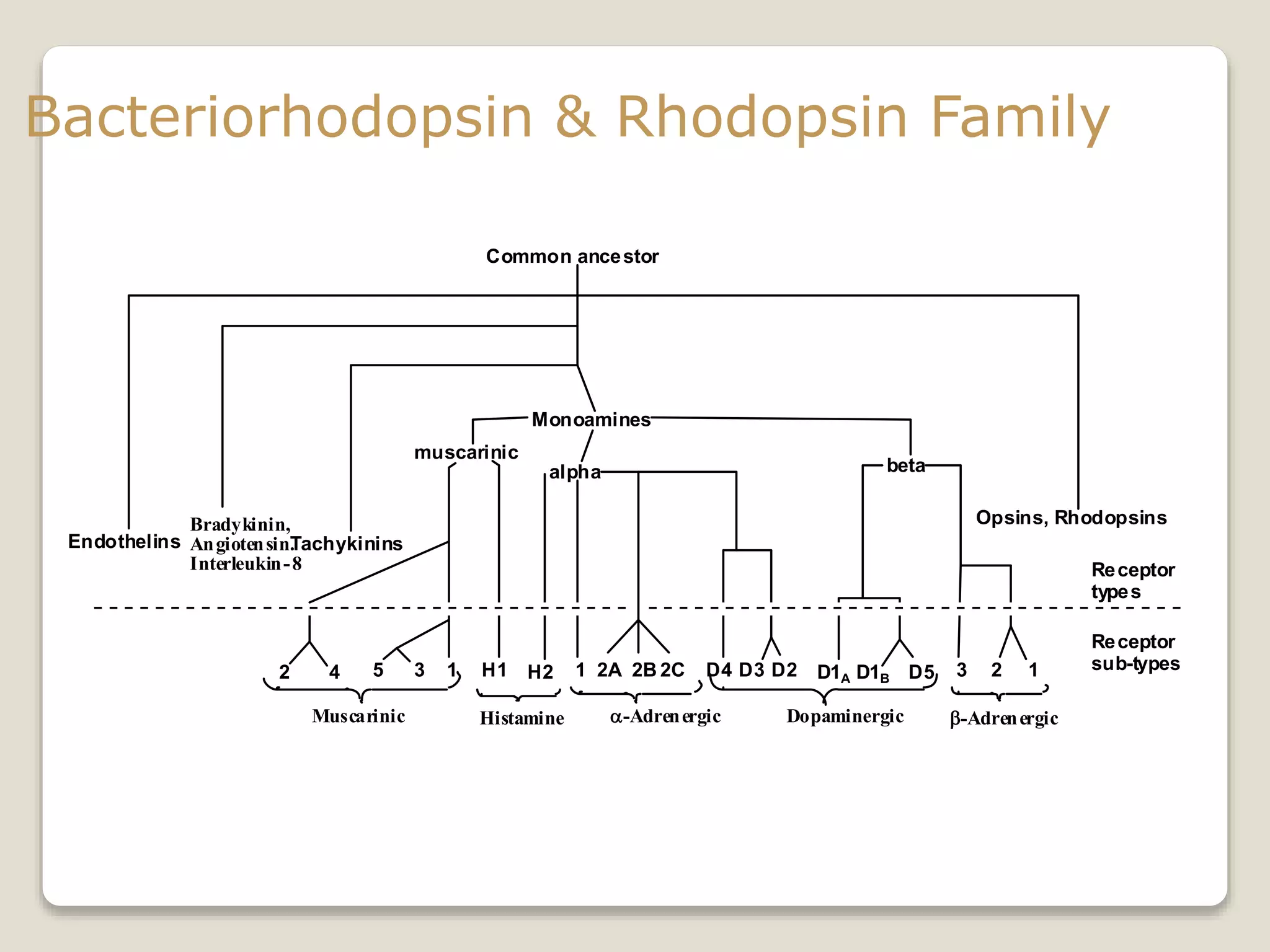 Receptors Types and details | PPT