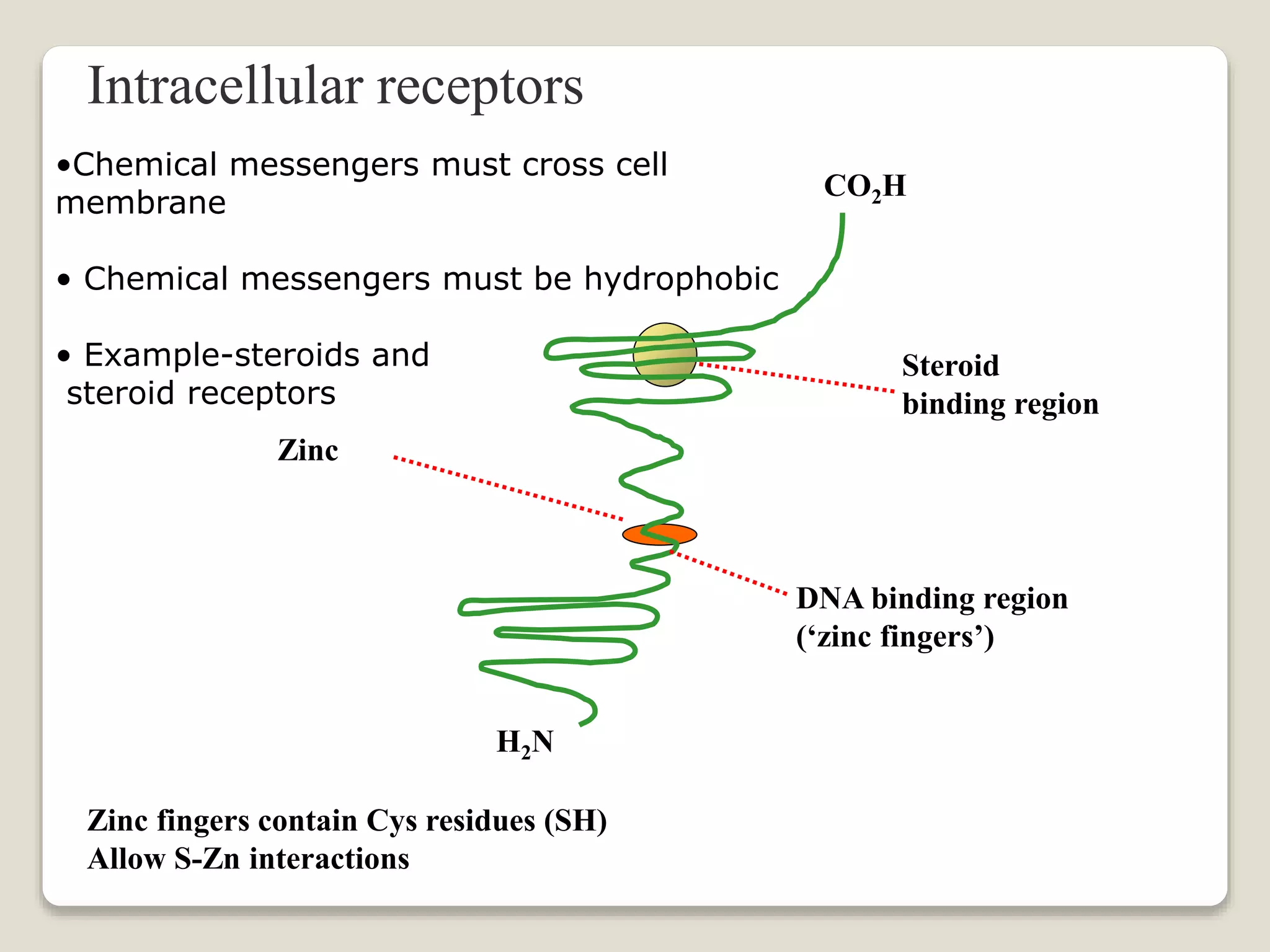 Receptors Types and details | PPT