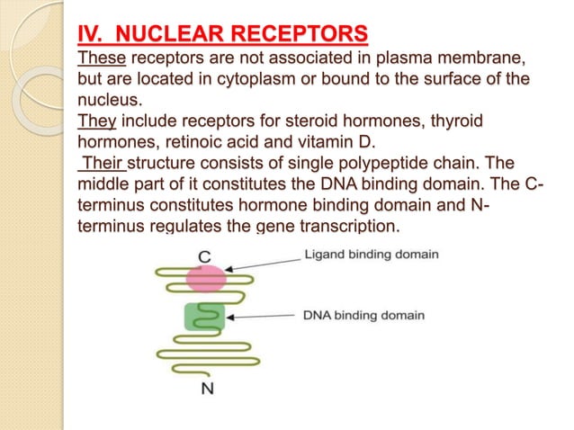 Receptors | PPTX | Biological Sciences | Science