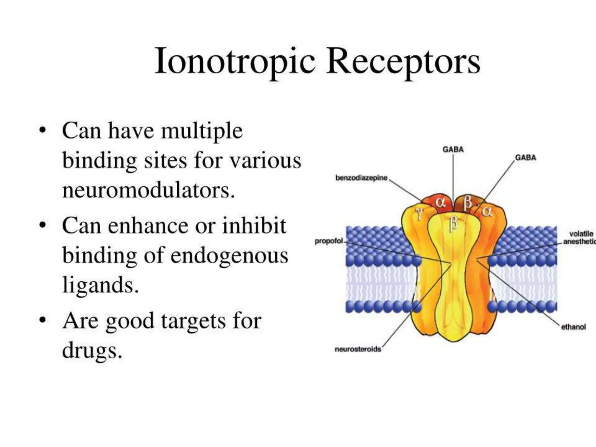 receptors | PPTX