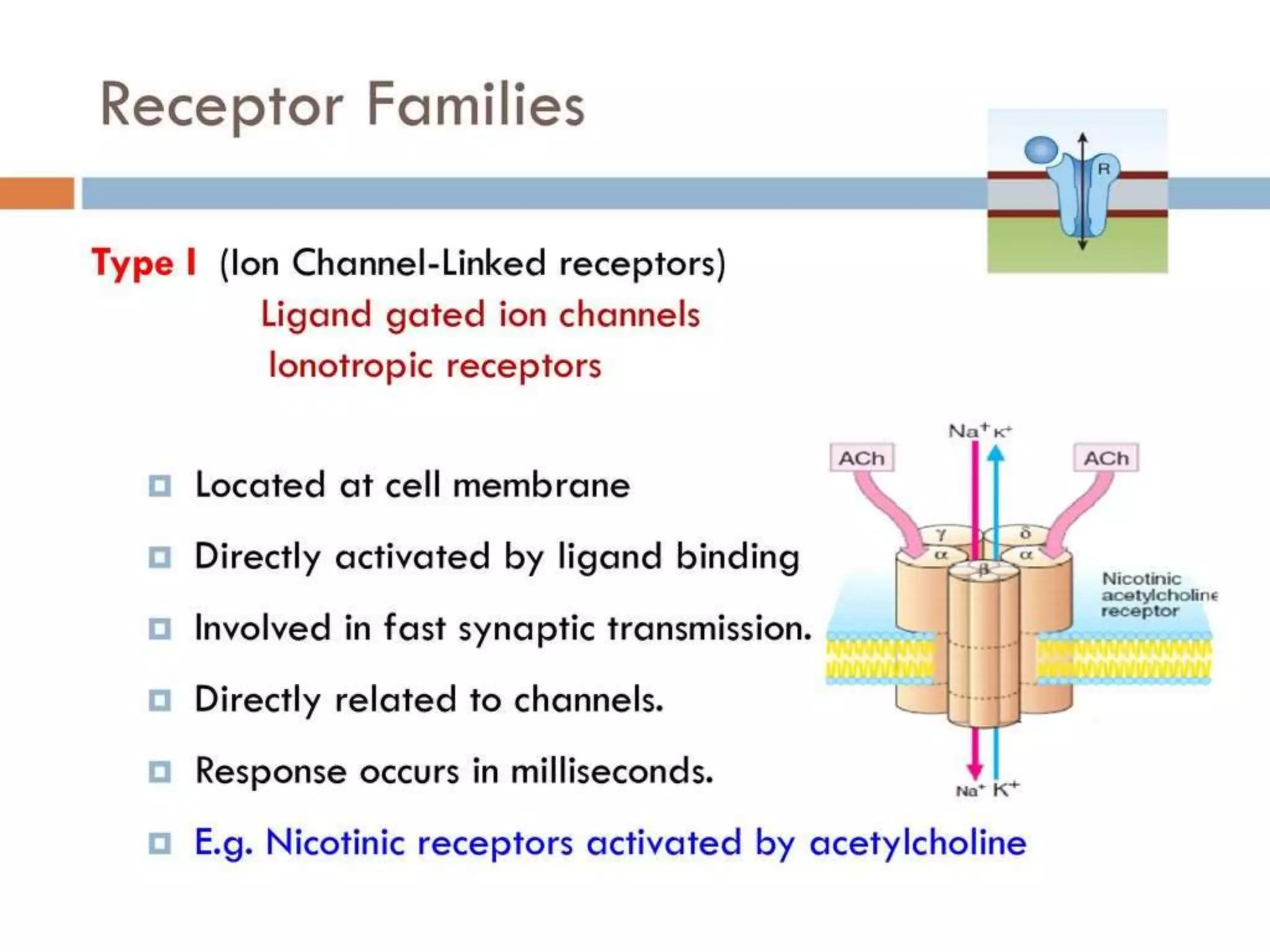 receptors | PPTX