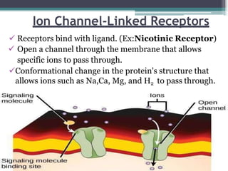 receptors | PPTX