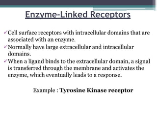 receptors | PPTX