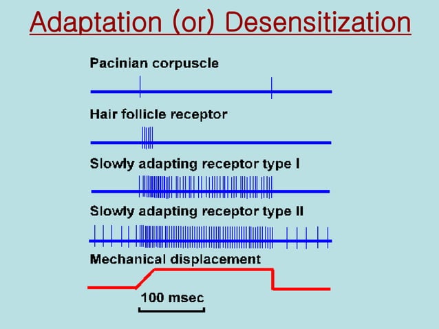 Receptors.ppt