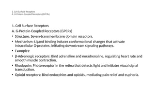 Receptors physiology different types of cell receptors | PPTX
