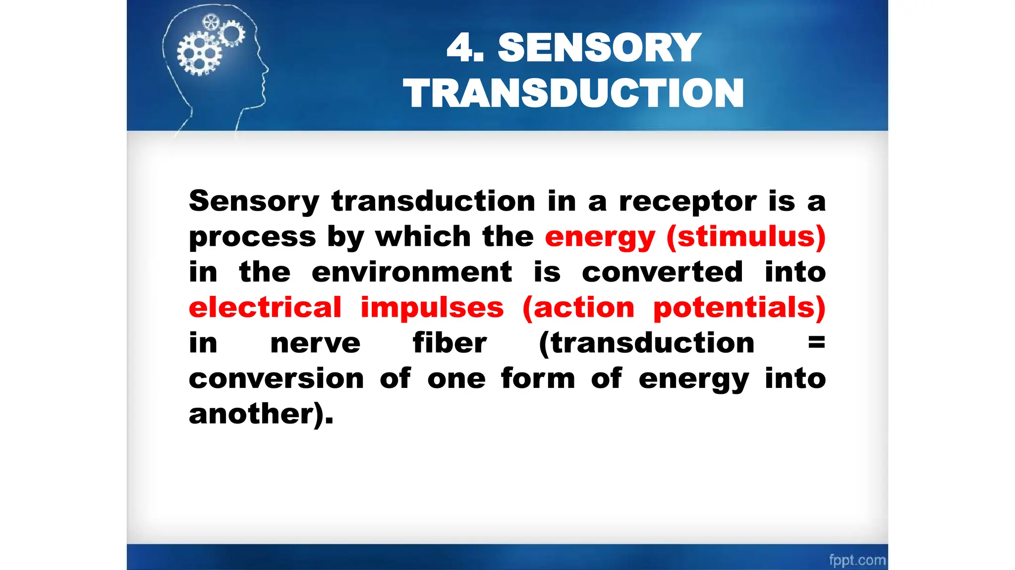 PHYSIOLOGY OF RECEPTORS, IT'S TYPES & PROPERTIES.pptx