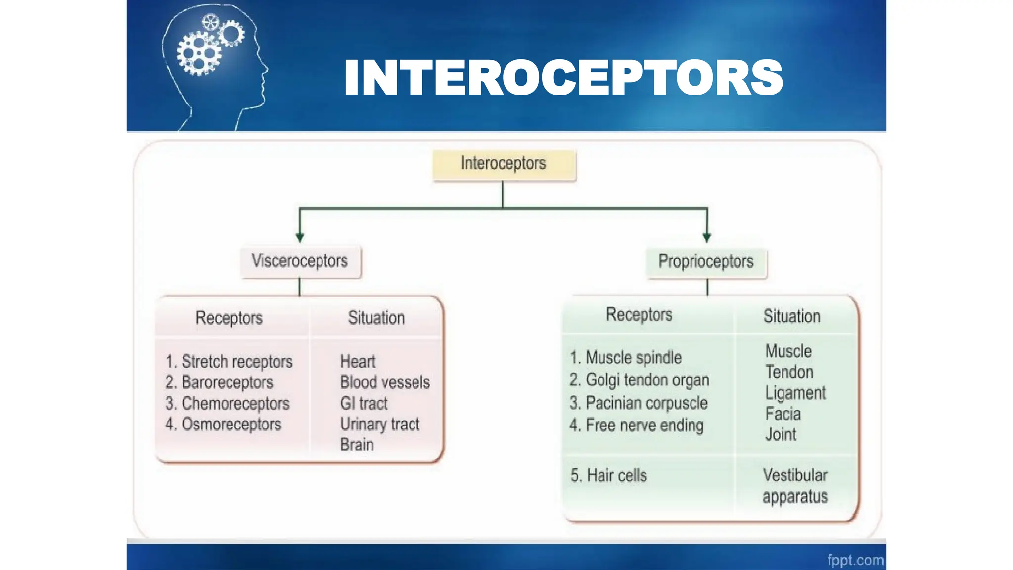 PHYSIOLOGY OF RECEPTORS, IT'S TYPES & PROPERTIES.pptx