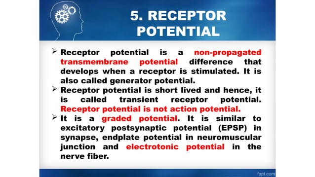PHYSIOLOGY OF RECEPTORS, IT'S TYPES & PROPERTIES.pptx