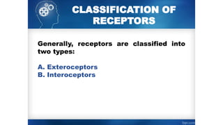 PHYSIOLOGY OF RECEPTORS, IT'S TYPES & PROPERTIES.pptx