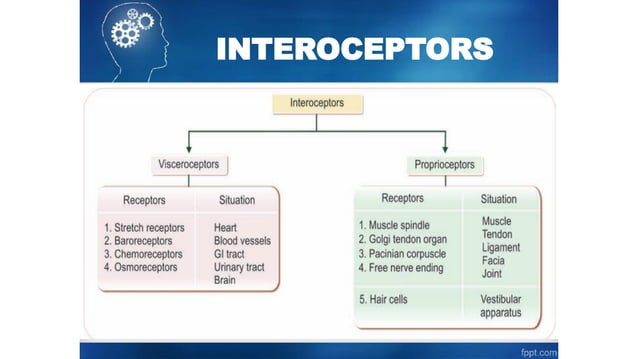 PHYSIOLOGY OF RECEPTORS, IT'S TYPES & PROPERTIES.pptx