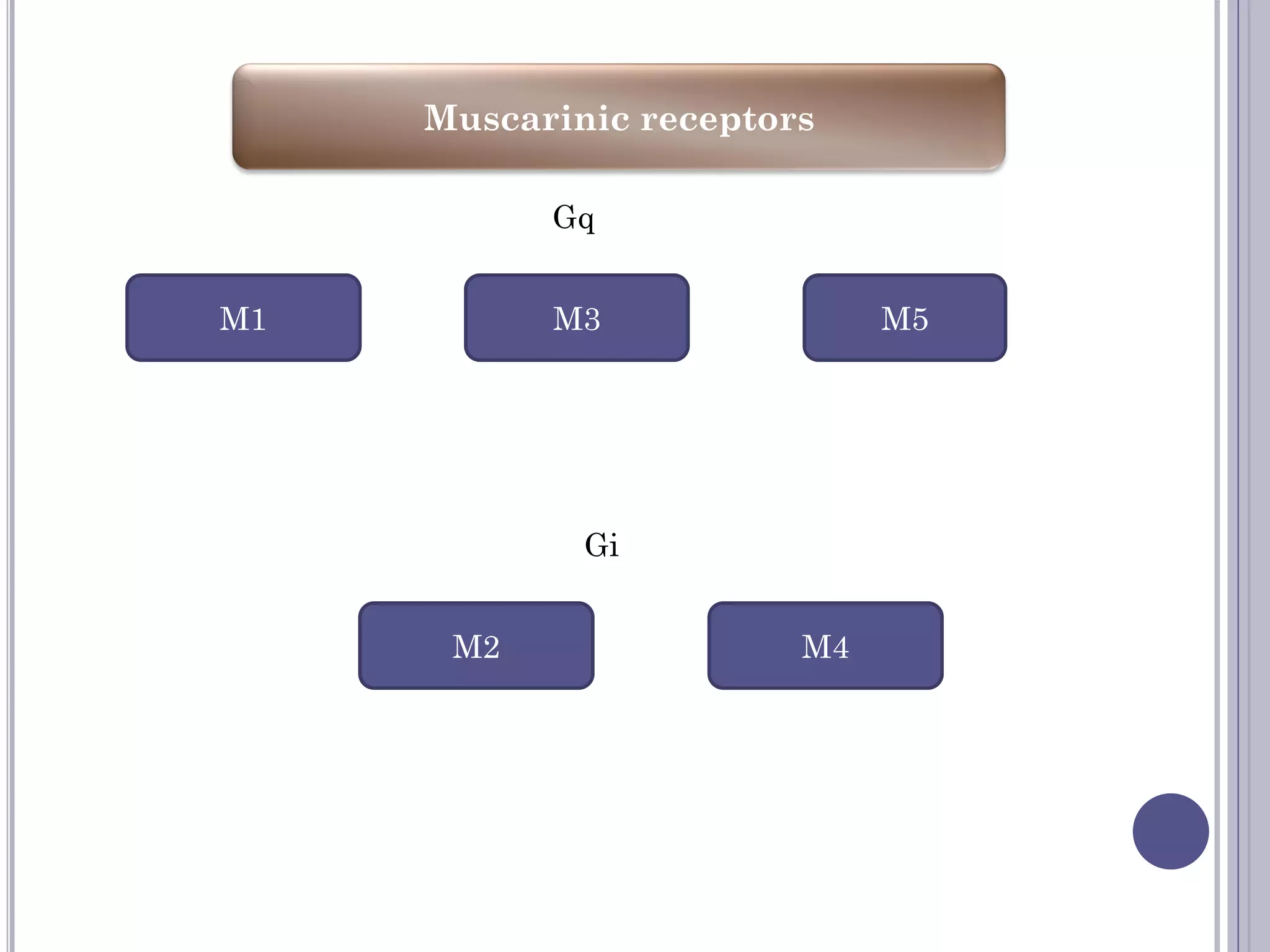 Receptors | PDF