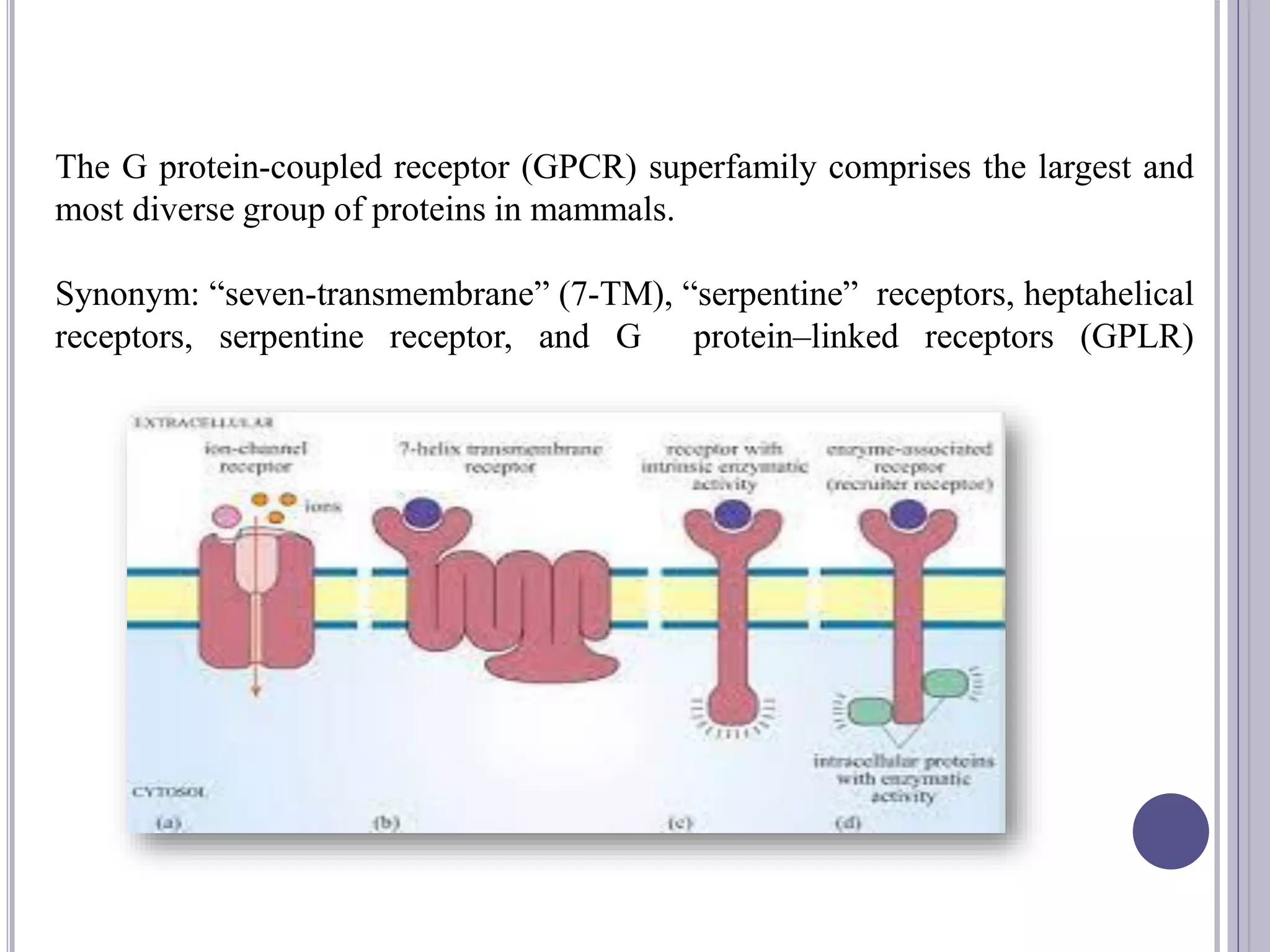 Receptors | PDF