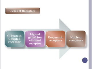 Receptors | PDF