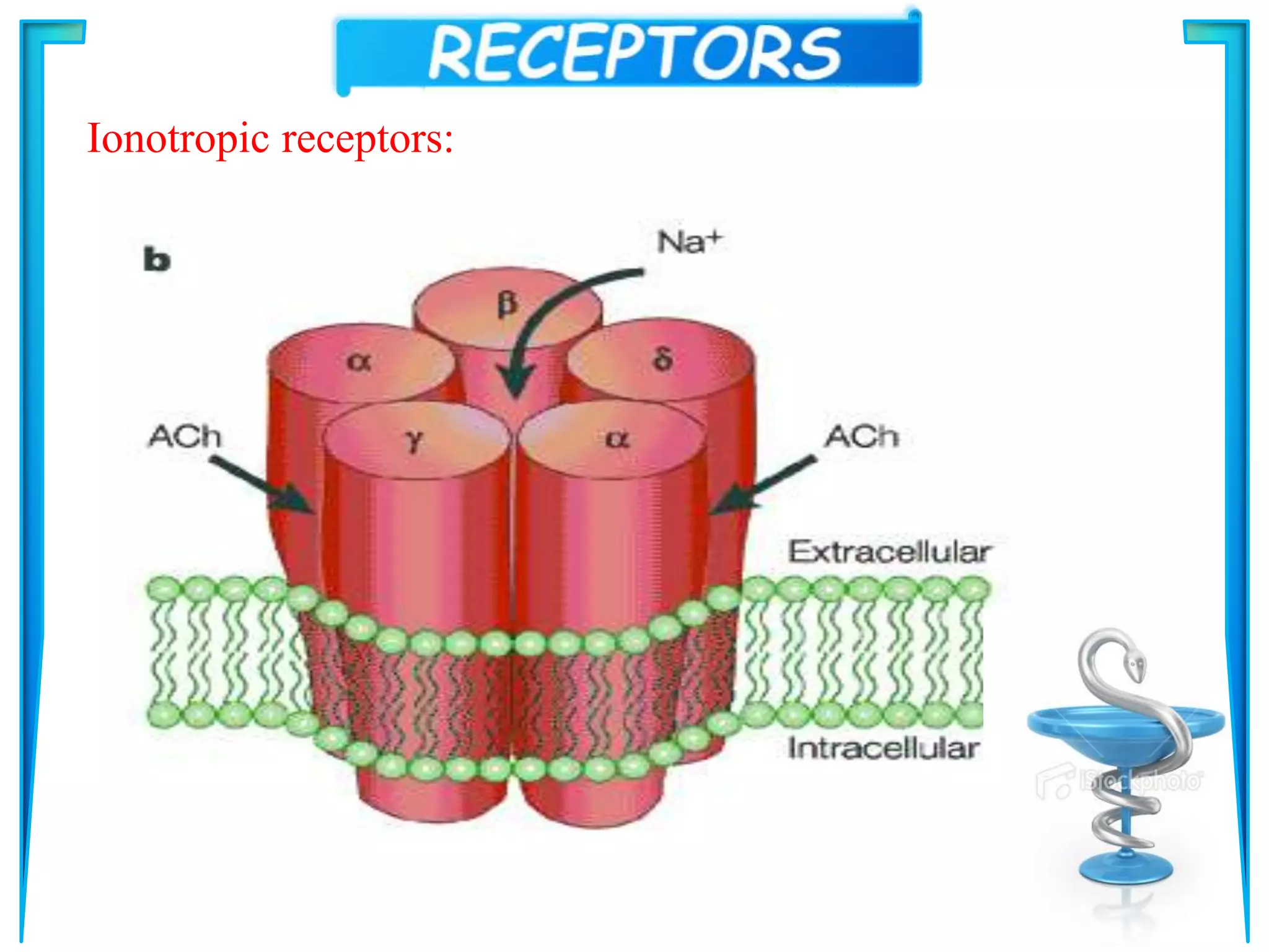 Receptors | PPT
