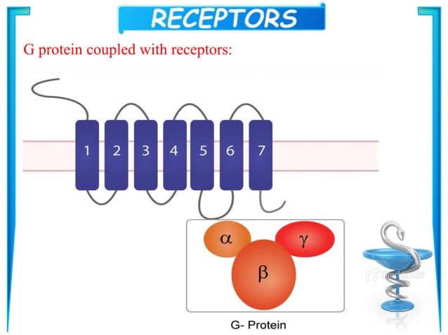 Receptors | PPT