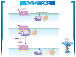Receptors | PPT