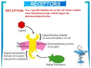 Receptors | PPT