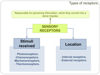 Interaction function II. Receptors and effectors. | PPTX